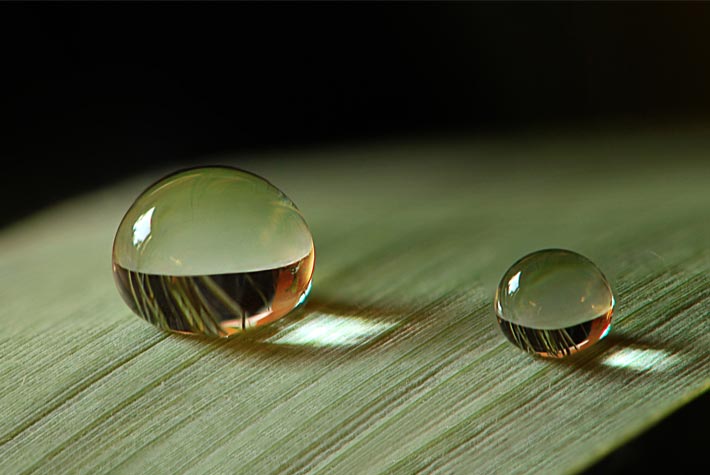 Cannabis Storage Humidity – Cannador®